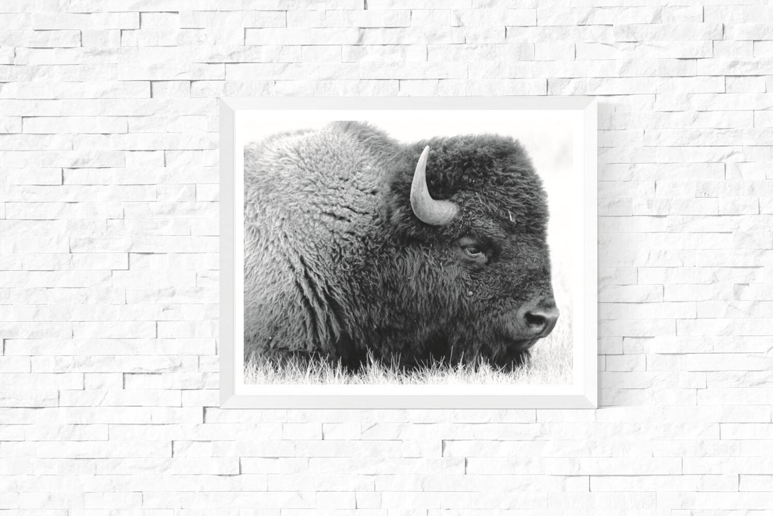 Buffalo Print Buffalo Photograph Printable Black and White | Etsy
