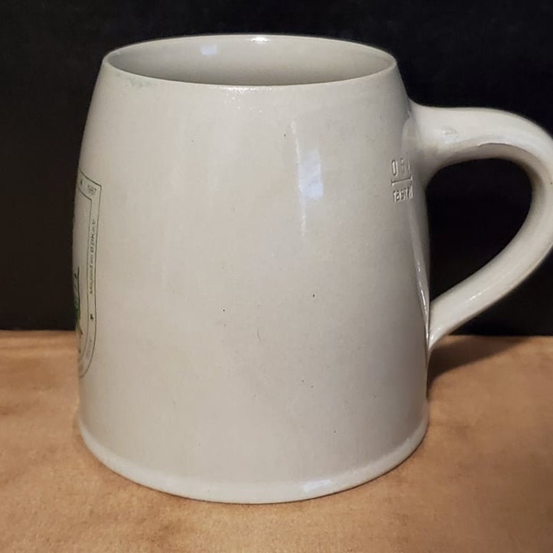 Salt Glaze Beer Mug - Etsy