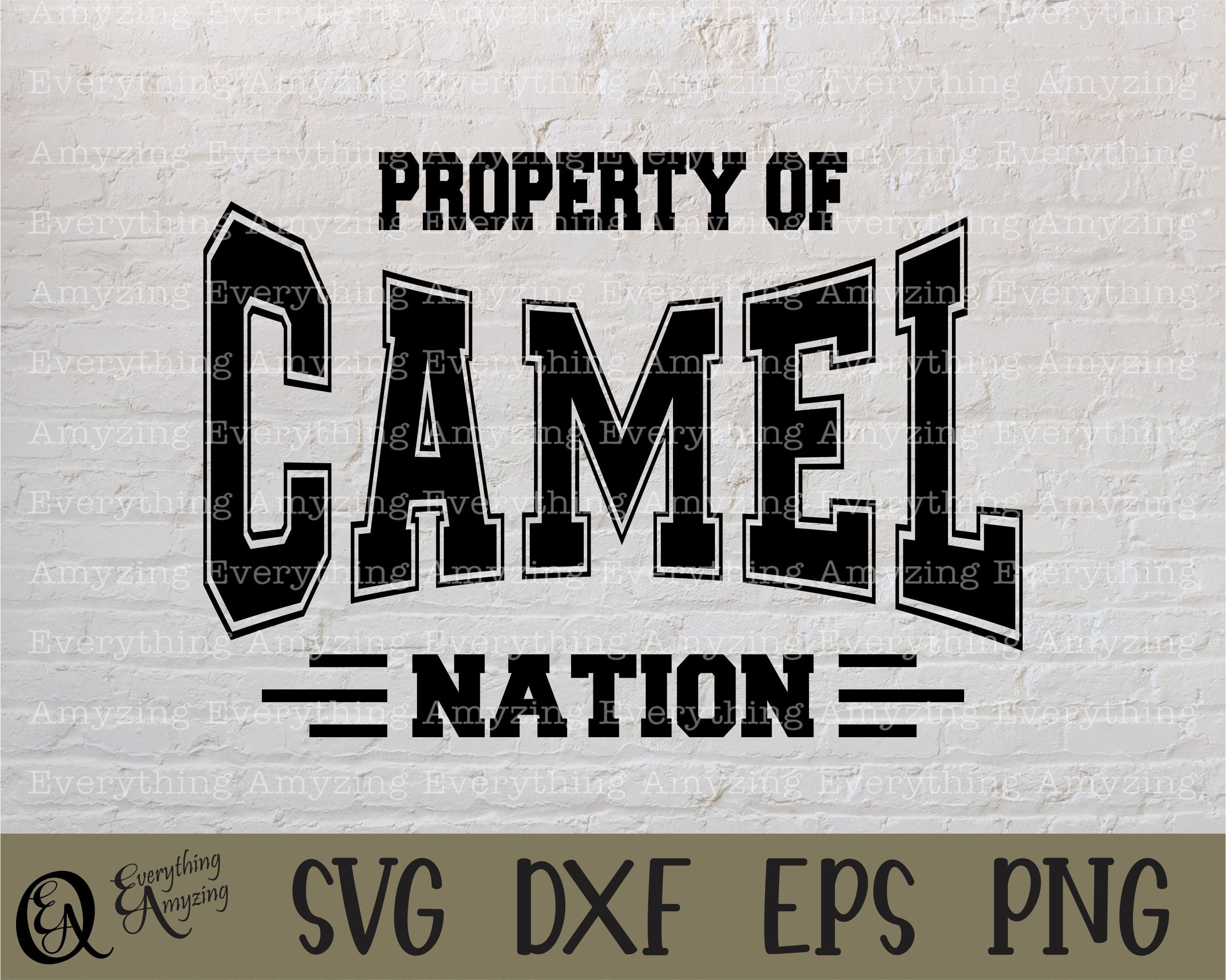 Camel Nation Svg, Camels Mascot Svg, Camel High School Svg, Camels ...