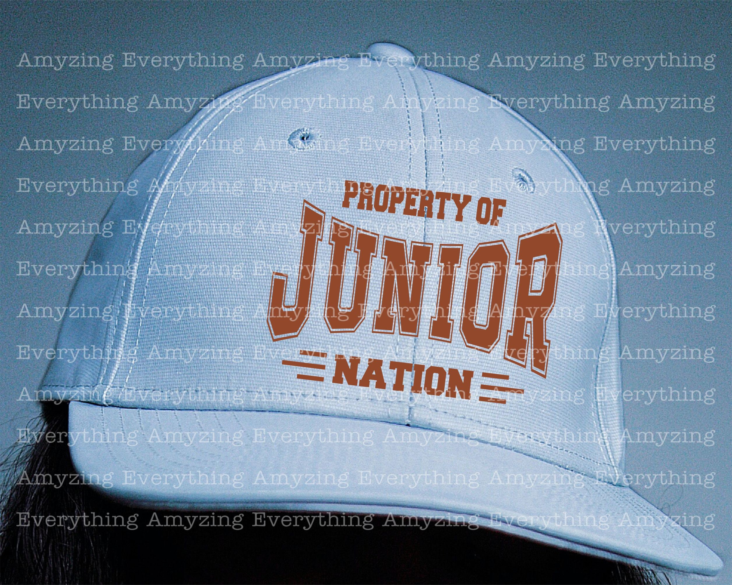Junior Class Bundle Svg, High School Junior Svg, Back to School Svg ...