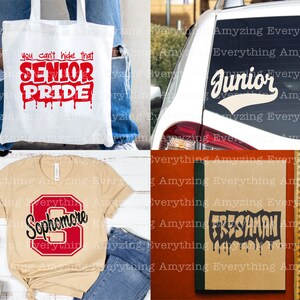 High School Class Bundle Svg, Freshman Svg, Sophomore Svg, Junior Svg ...