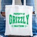Grizzly Nation Svg, Grizzlies Mascot Svg, Grizzlies School Spirit Svg ...