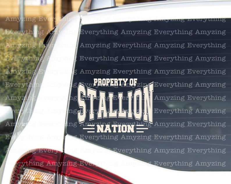 Stallions Mascot Bundle Svg, Stallions School Spirit Svg, Stallions ...
