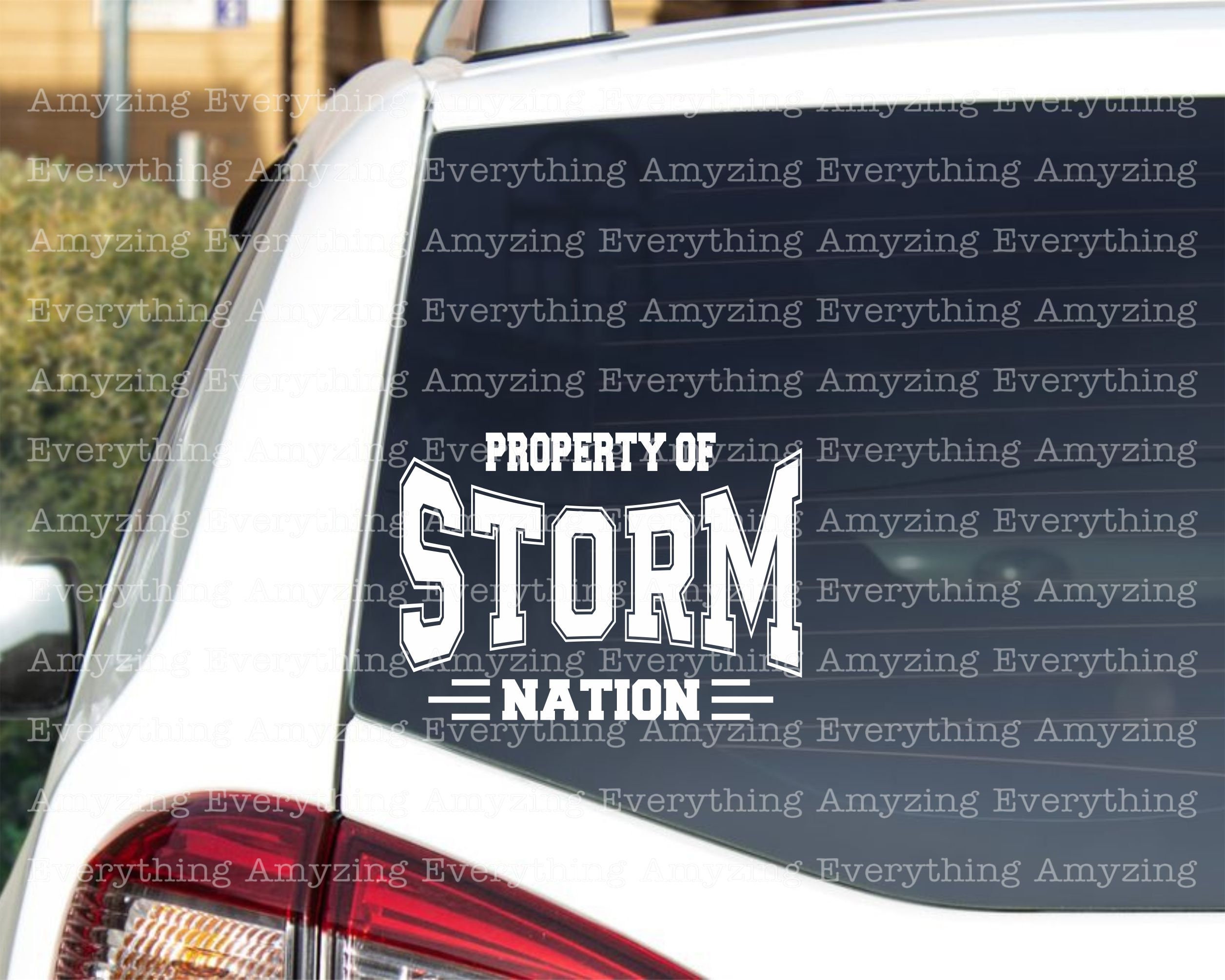 Storm Nation Svg, Storm Mascot Svg, Storm School Spirit Svg, Storm ...