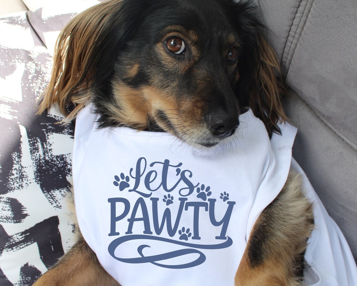 Let's Pawty Svg Dog Svg Cat Svg Dog Mom Svg Cat Mom - Etsy