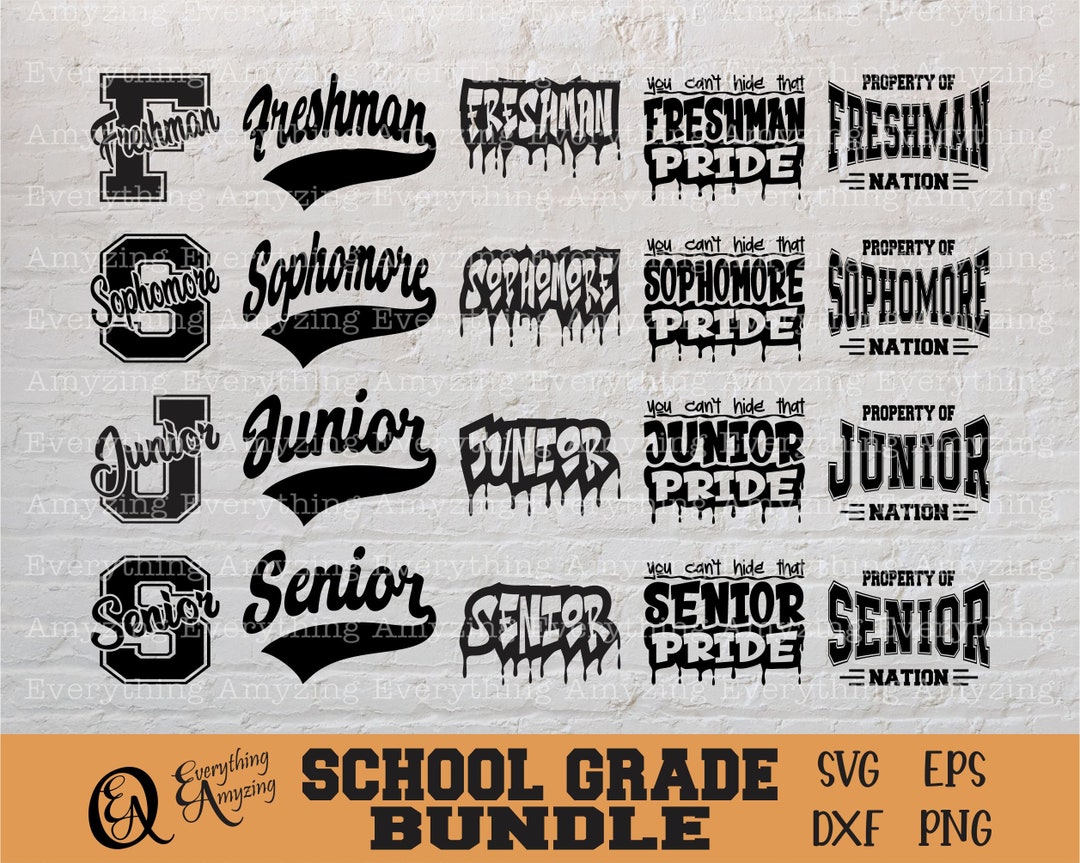 High School Class Bundle Svg, Freshman Svg, Sophomore Svg, Junior Svg ...