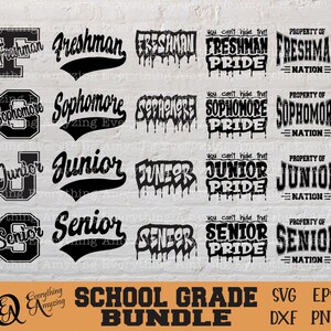High School Class Bundle Svg, Freshman Svg, Sophomore Svg, Junior Svg ...