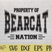 Bearcat Nation Svg, Bearcats Mascot Svg, Bearcats School Spirit Svg ...