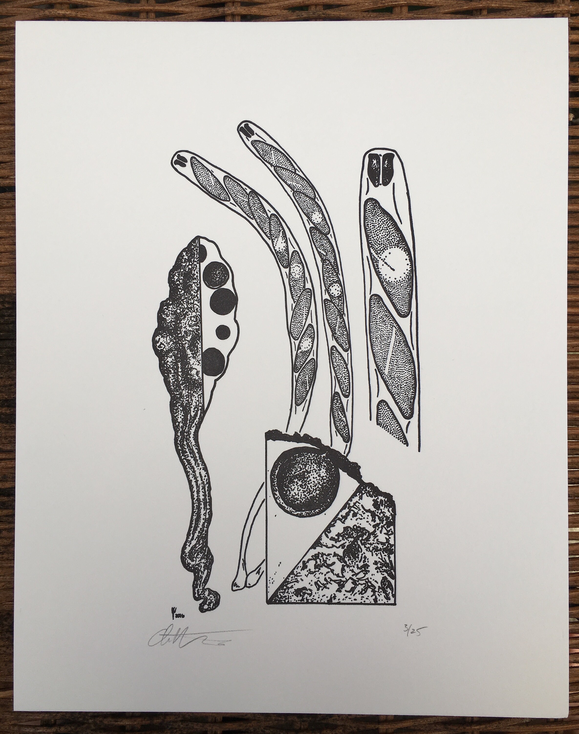 Letterpress SET: All 5 Prints! - Etsy