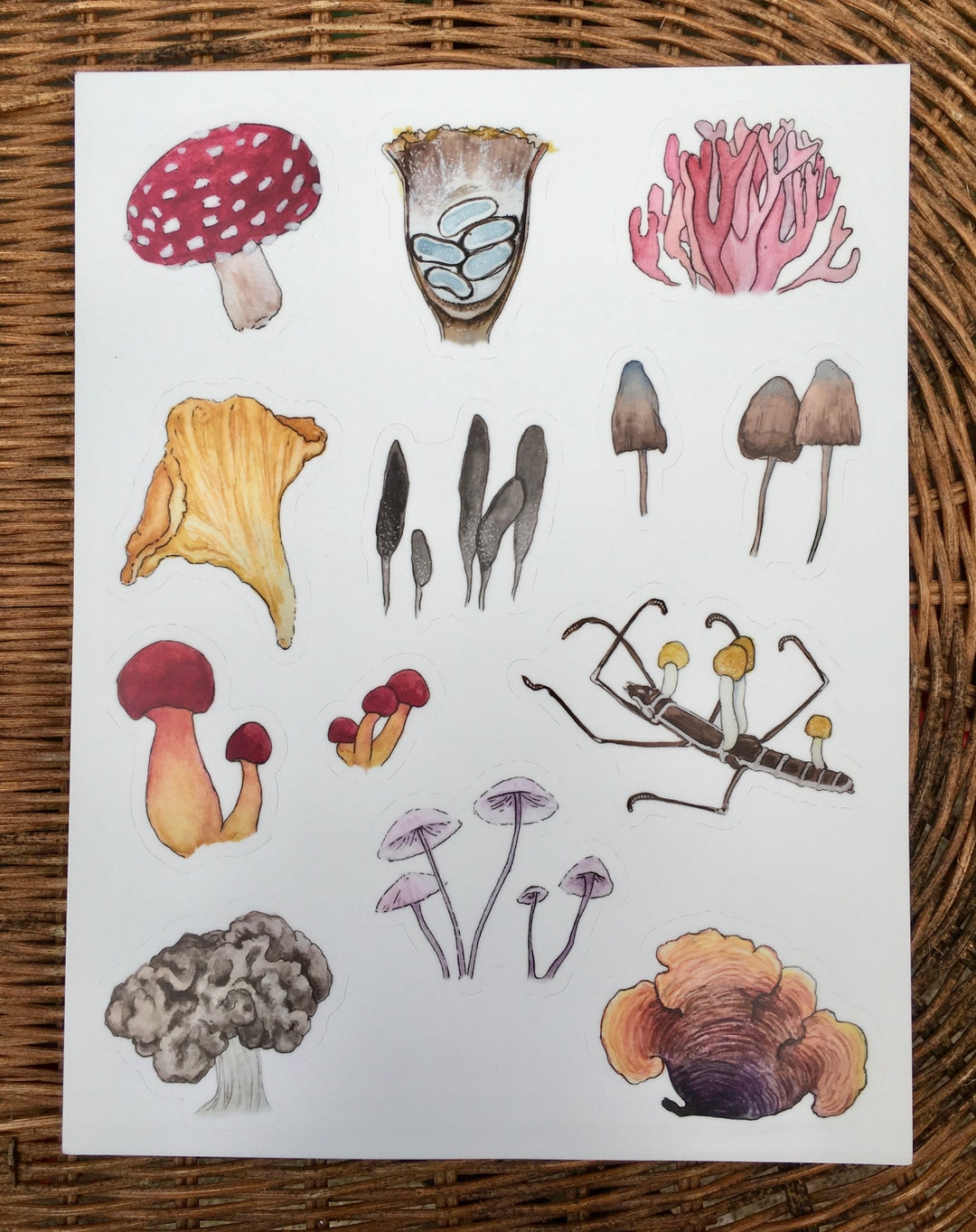 Mushroom Sticker Sheet - Etsy