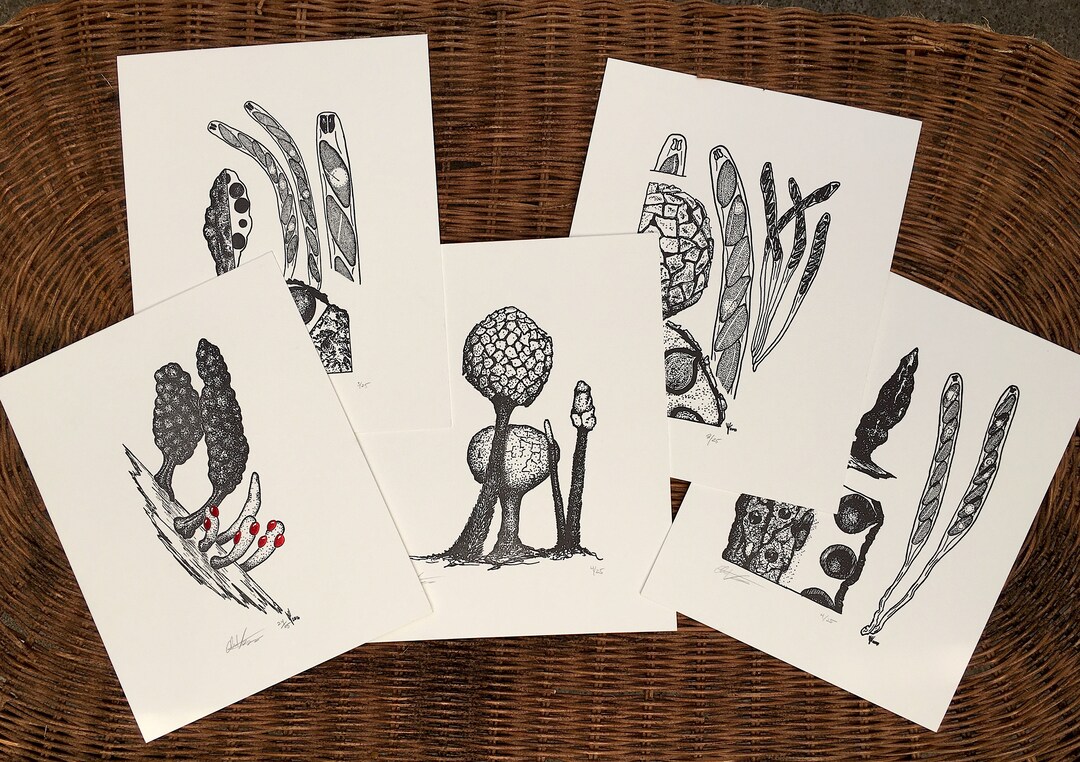 Letterpress SET: All 5 Prints! - Etsy