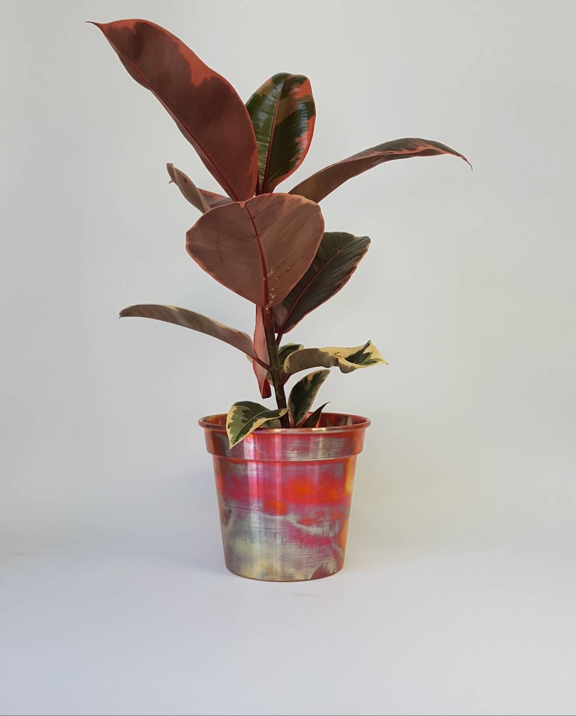 Handmade Solid Copper Plant Pot / Planter 4/5/6/7 inch | Etsy