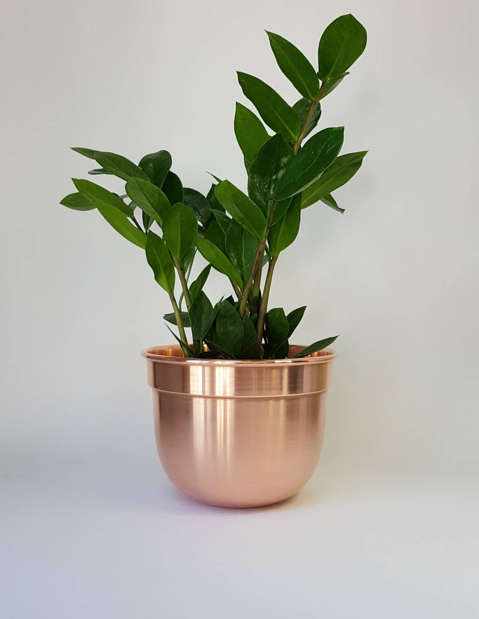 Handmade solid copper round bottom plant pot large | Etsy