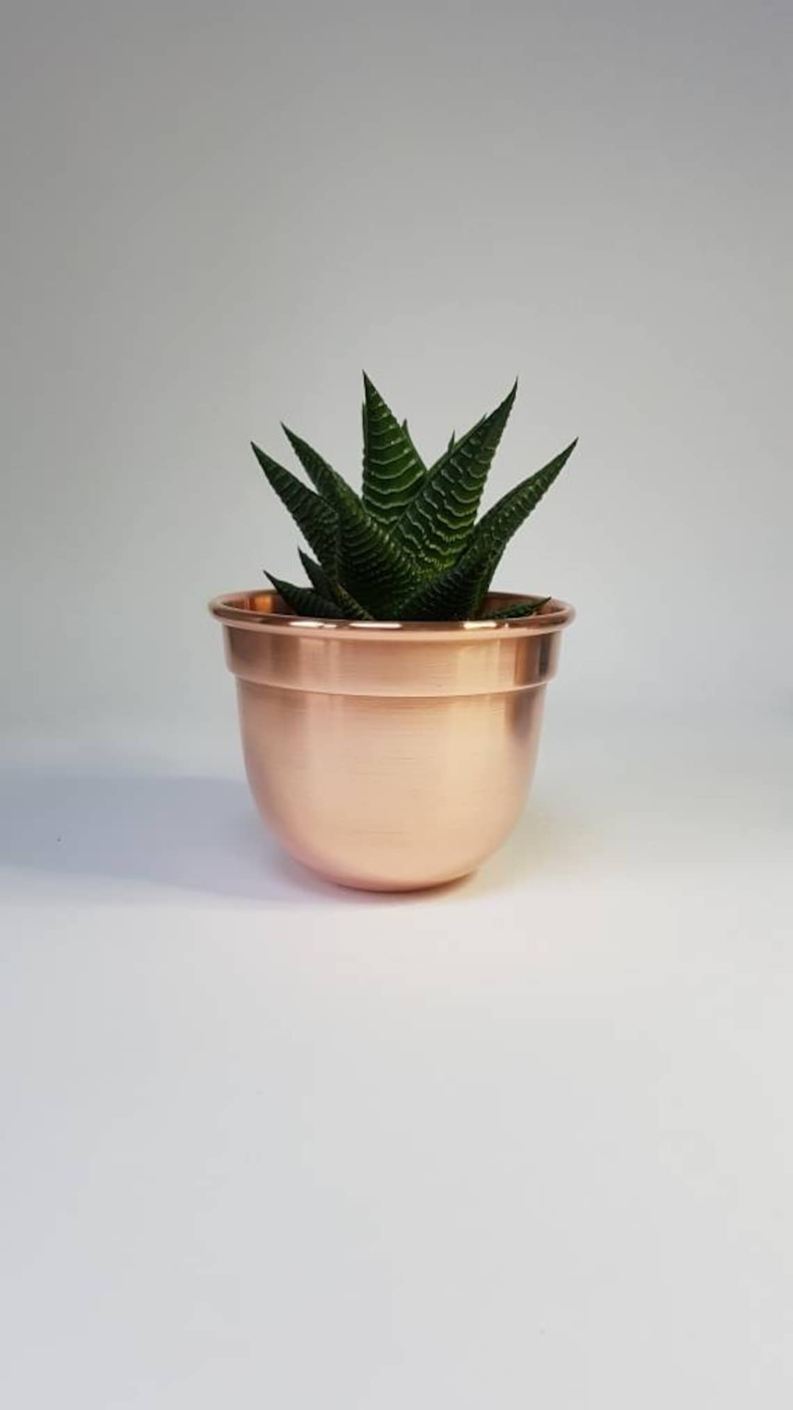Handmade Solid Copper Round Bottom Plant Pot / Planter - Etsy