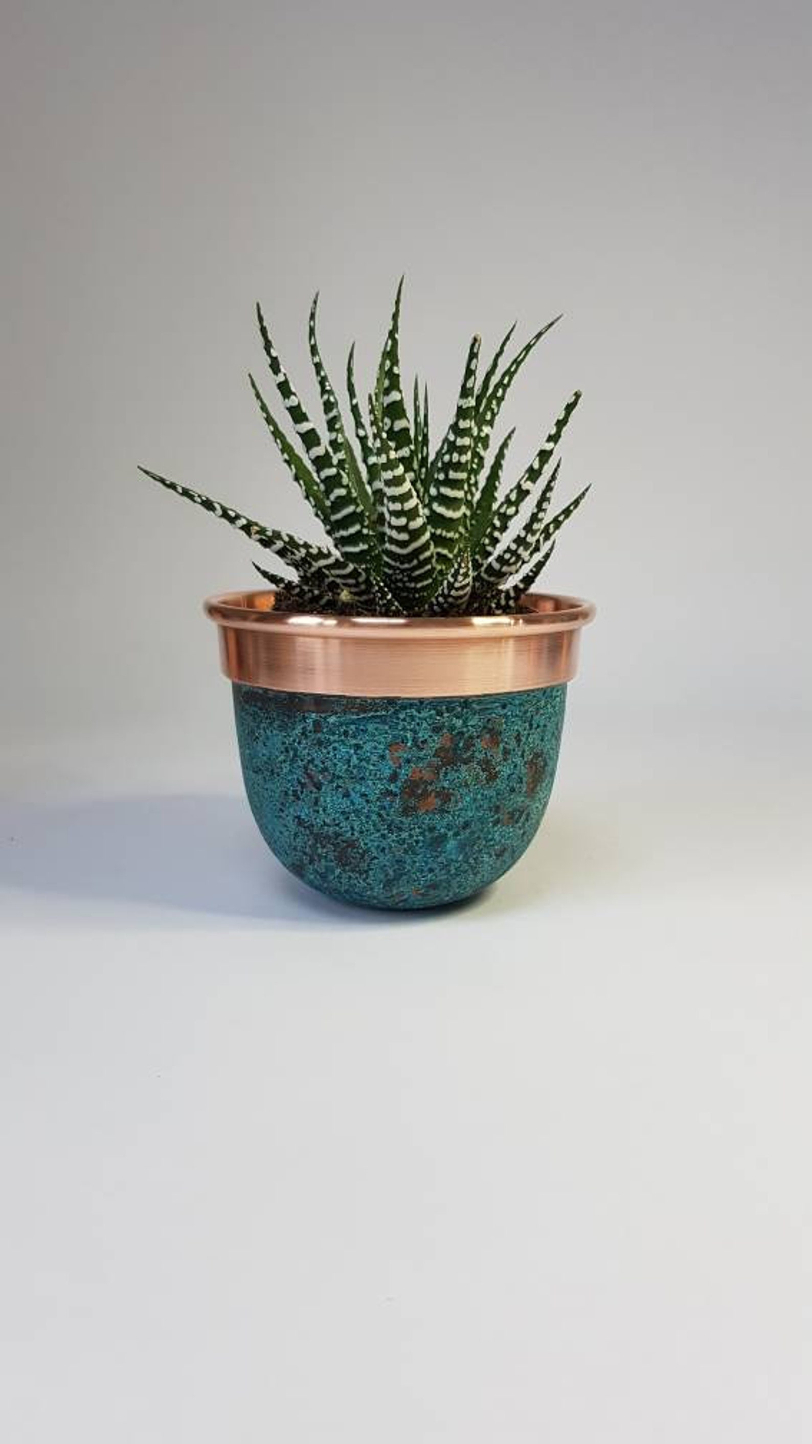 Set of 3 Handmade Solid Copper Round Bottom Plant Pots / | Etsy