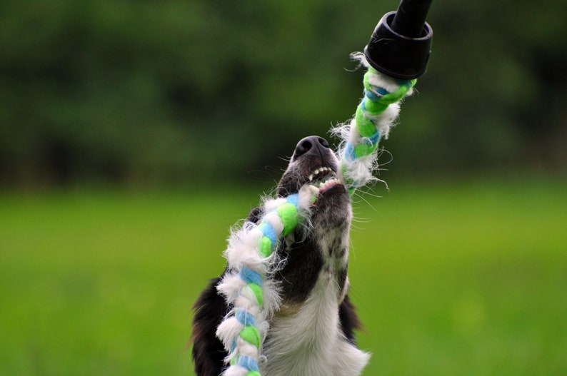 Maximize Your Dog's Playtime with the Best Dog Udder Toys: Fun and Safe ...