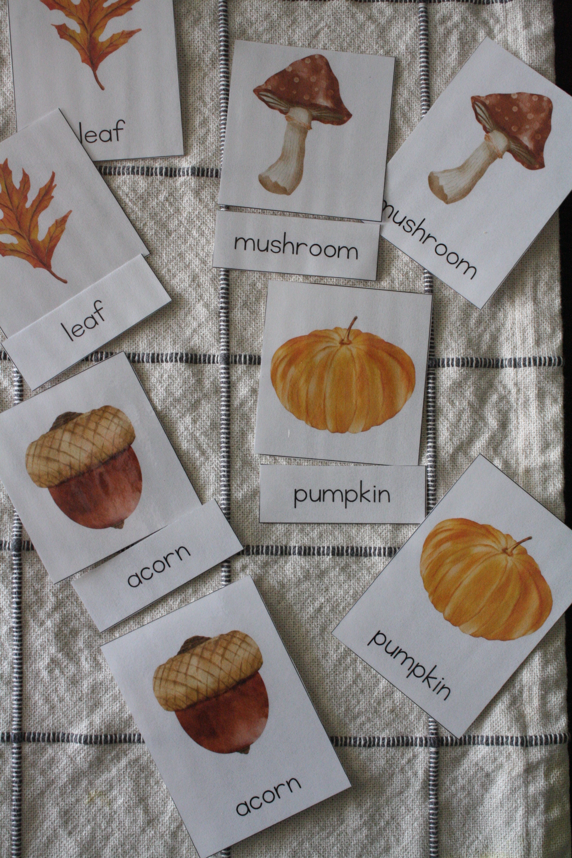 Fall Activity Bundle Autumn Preschool Homeschool Learning - Etsy