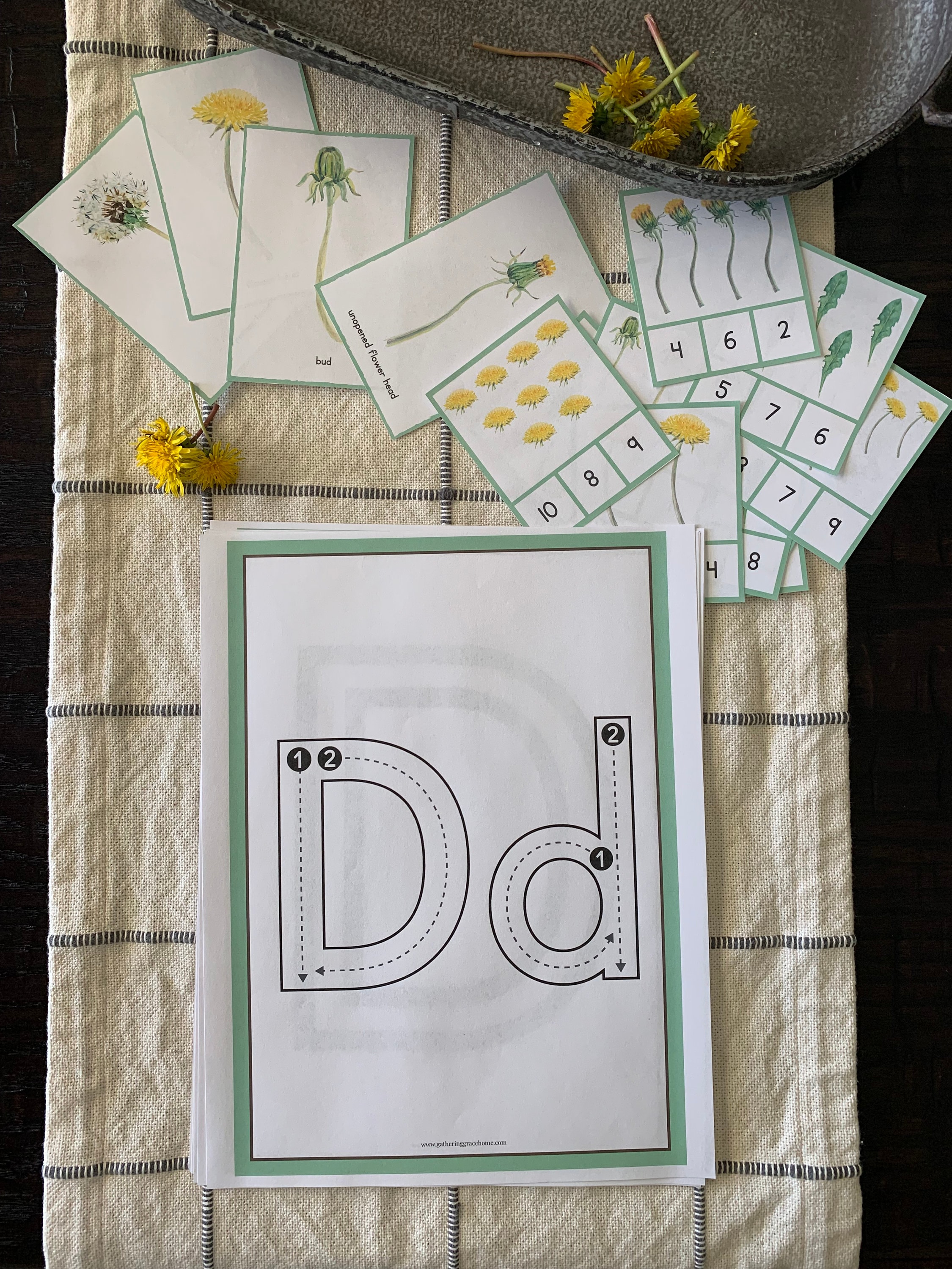 Dandelion Activity Bundle - Etsy