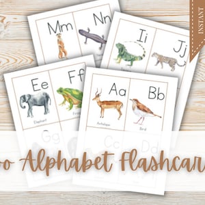 Zoo Alphabet Flashcards - Etsy