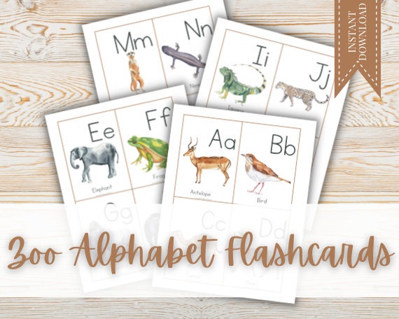 Zoo Alphabet Flashcards | Etsy