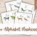Zoo Alphabet Flashcards - Etsy