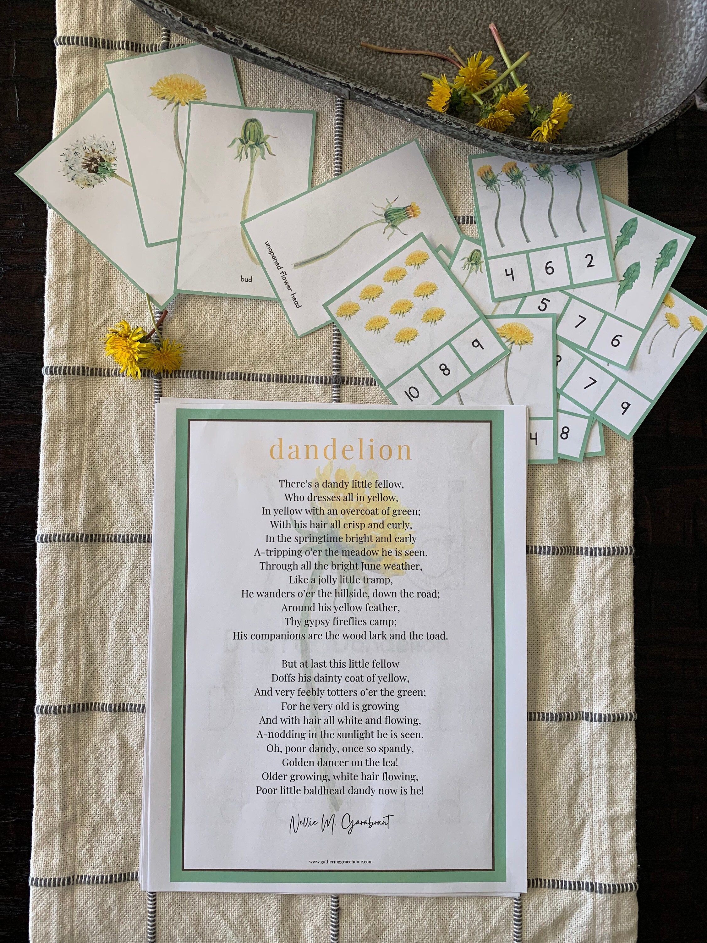 Dandelion Activity Bundle - Etsy