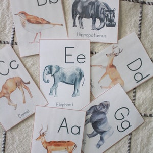 Zoo Alphabet Flashcards - Etsy