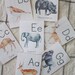 Zoo Alphabet Flashcards - Etsy