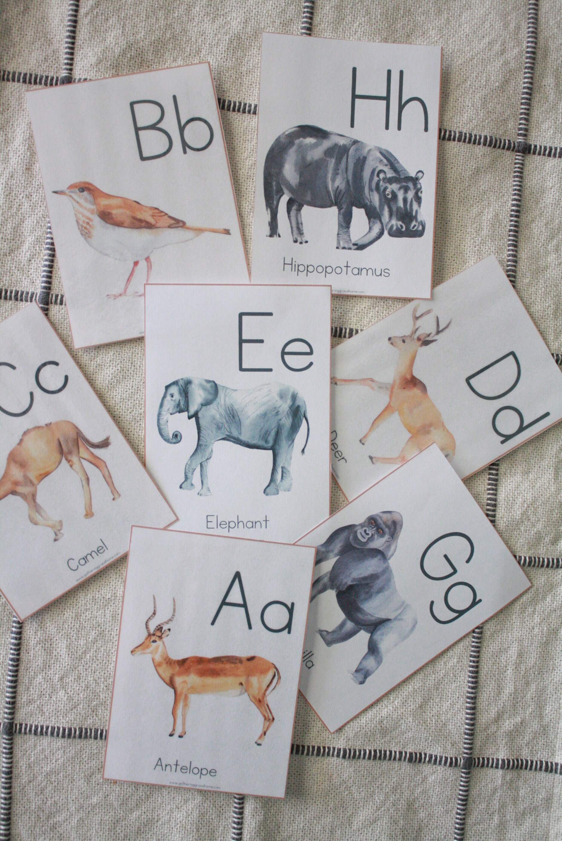 Zoo Alphabet Flashcards - Etsy
