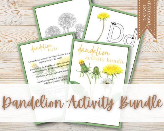 Dandelion Activity Bundle - Etsy