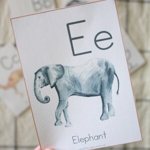 Zoo Alphabet Flashcards - Etsy