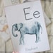 Zoo Alphabet Flashcards - Etsy