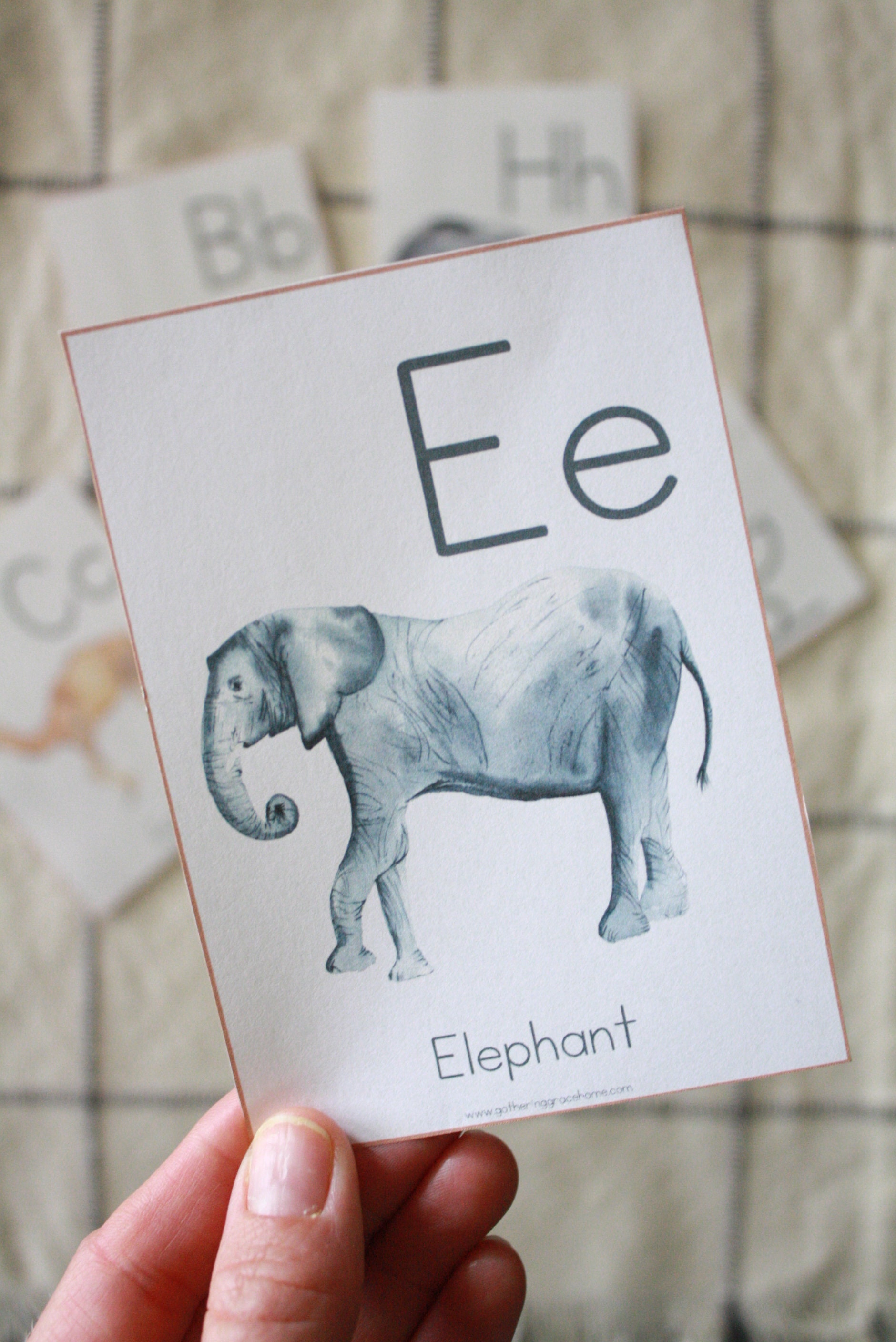 Zoo Alphabet Flashcards - Etsy