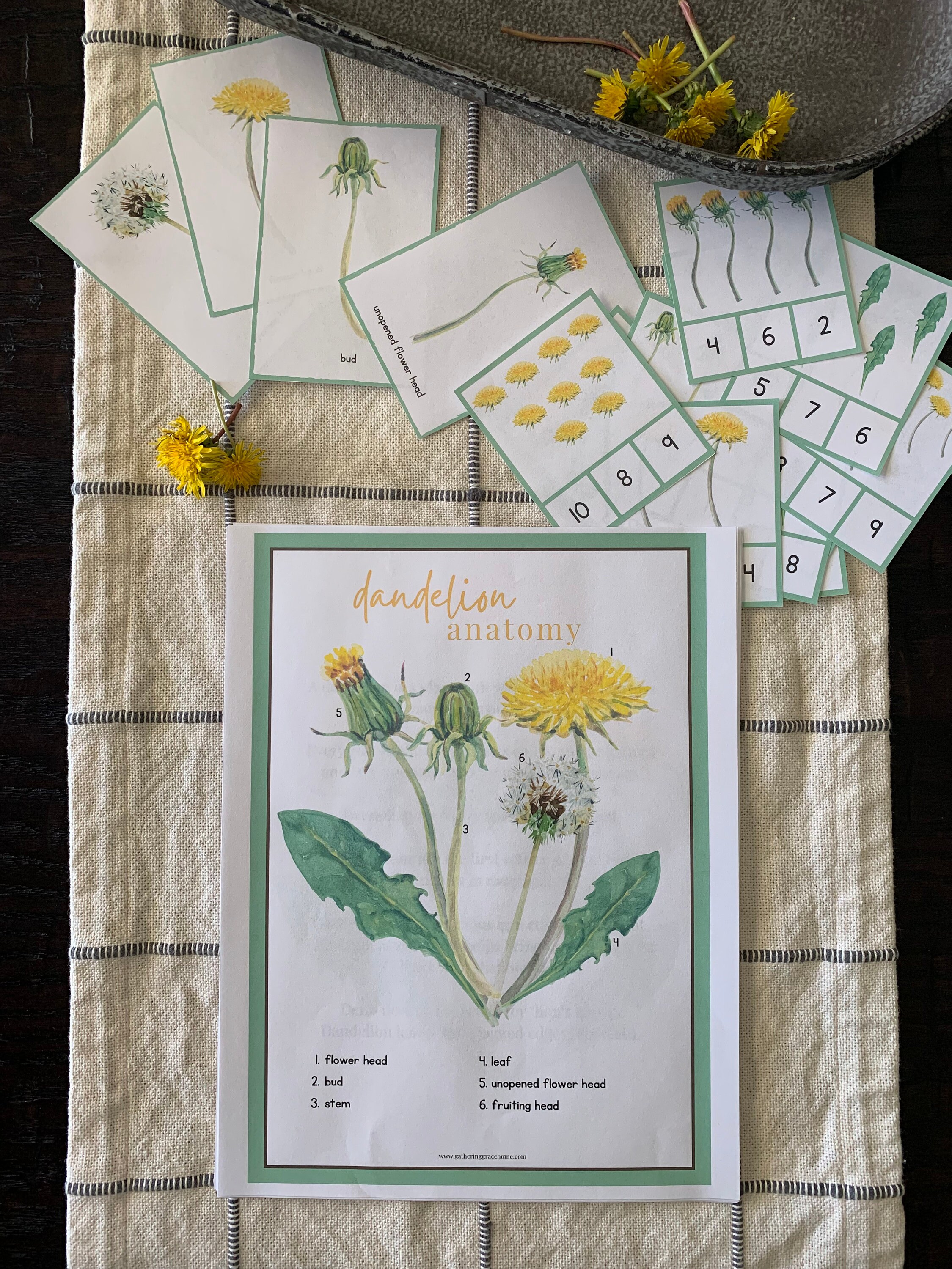 Dandelion Activity Bundle - Etsy