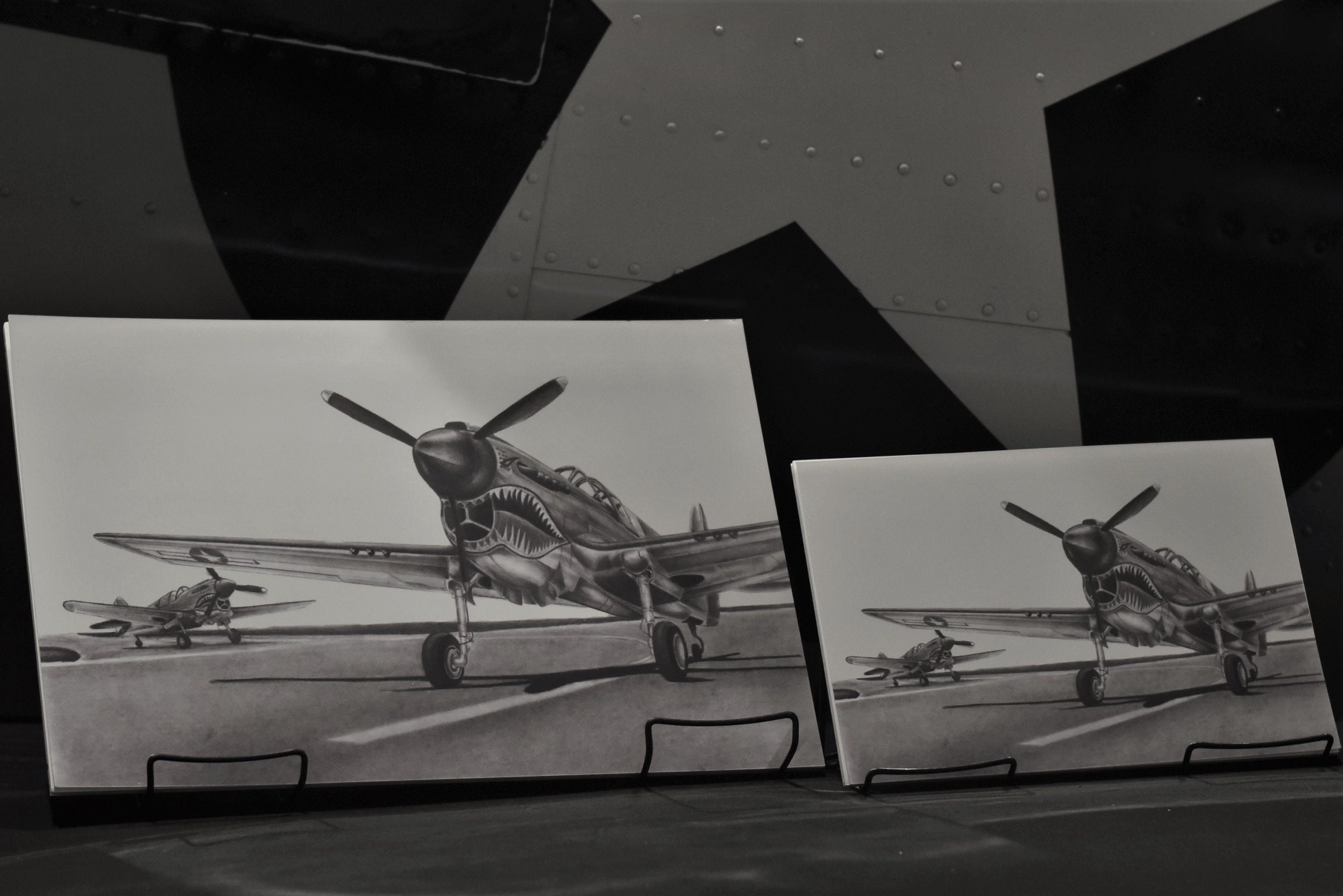 US Air Force P-40 Warhawk "flying Tigers" Aviation Art - Etsy