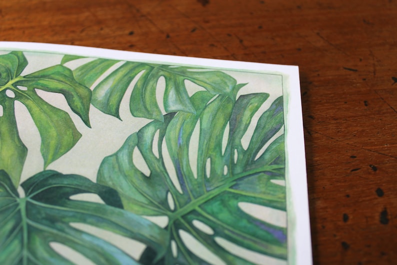 Monstera, Monstera Card, Birthday Card, Monstera Deliciosa, Square ...