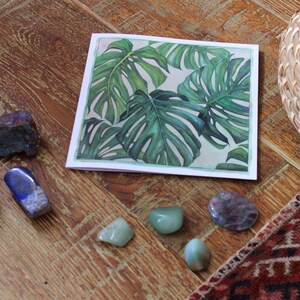 Monstera, Monstera Card, Birthday Card, Monstera Deliciosa, Square ...