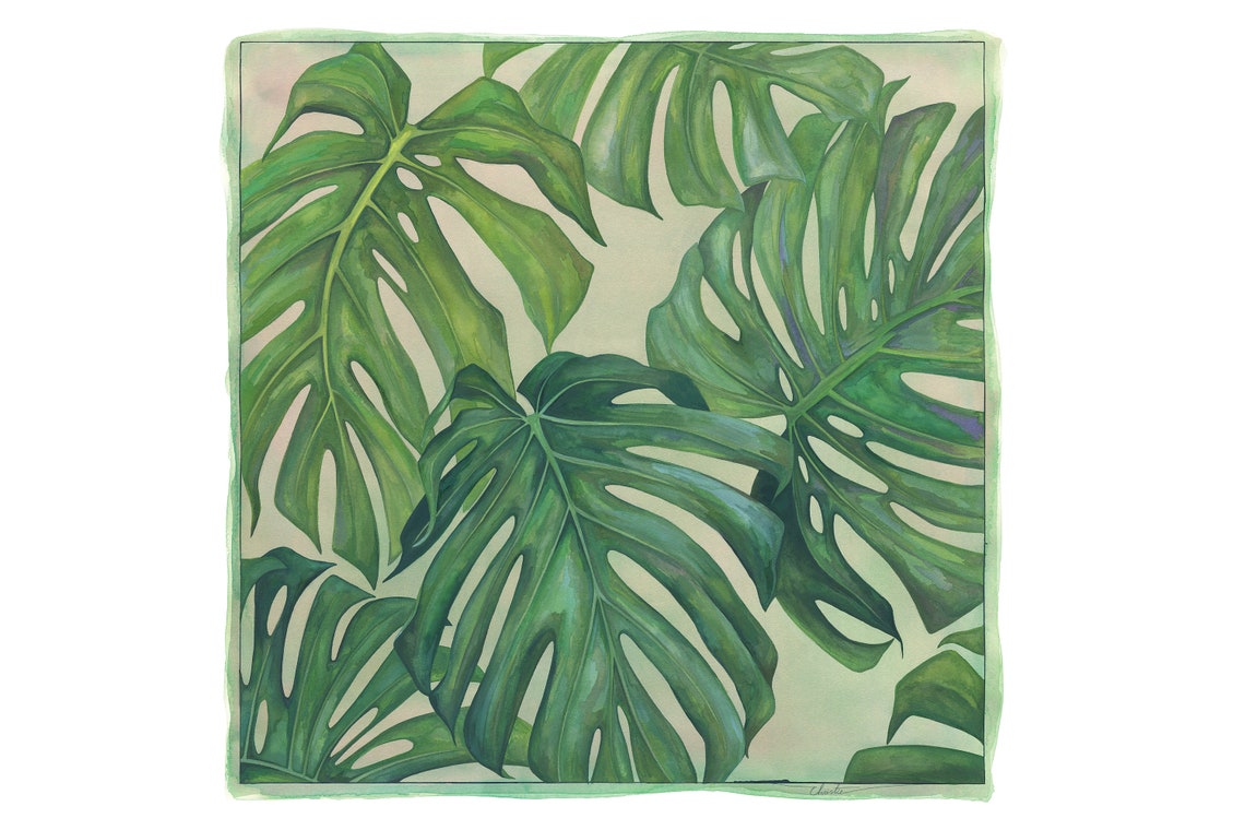 Monstera, Monstera Card, Birthday Card, Monstera Deliciosa, Square ...