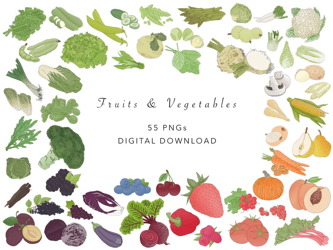 Fruits Vegetables Drawings Clip Art Commercial Use Instant Download PNG ...