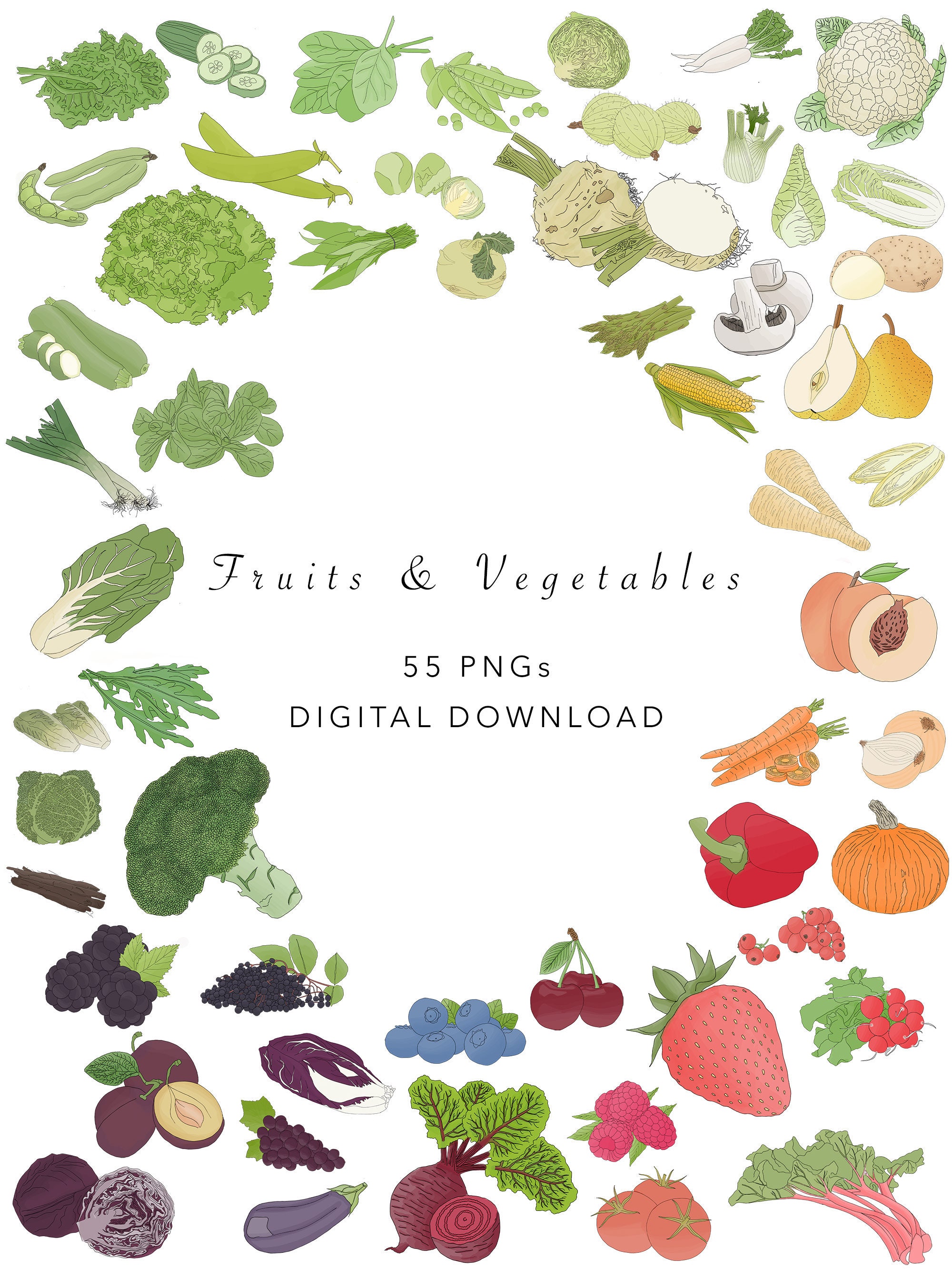 Fruits Vegetables Drawings Clip Art Commercial Use Instant Download PNG clean Eating digital ...