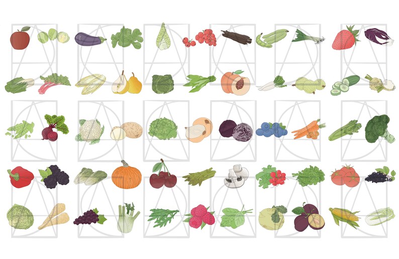 Fruits Vegetables Drawings Clip Art Commercial Use Instant Download PNG ...