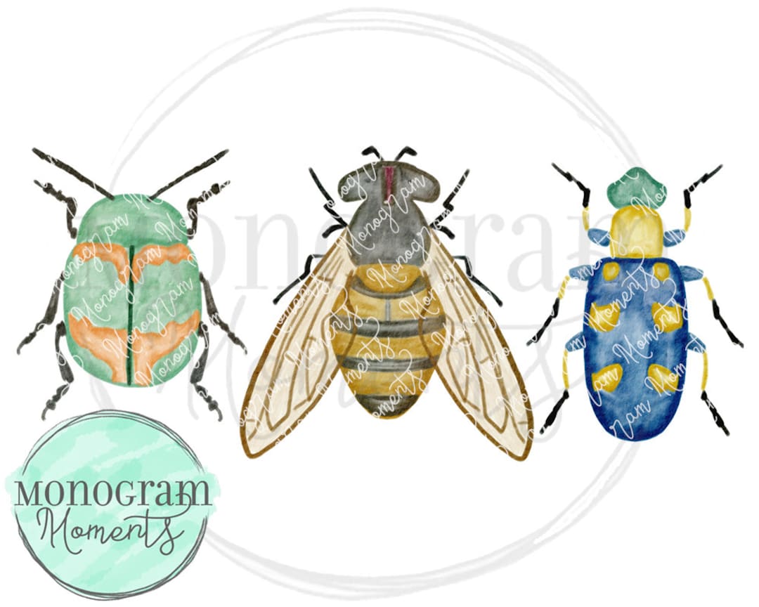Watercolor Bugs PNG Boy's Bug Trio for Digital Download, Sublimation ...