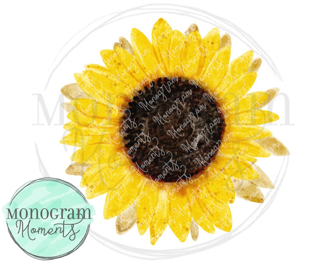 Watercolor Sunflower PNG Watercolor Sunflower Name Plate Clipart for ...