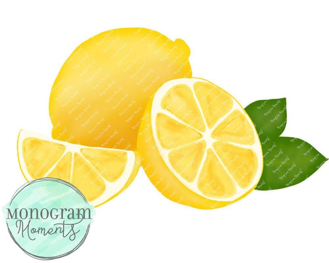 Watercolor Summer PNG - Watercolor Lemons Clipart for Digital Download ...