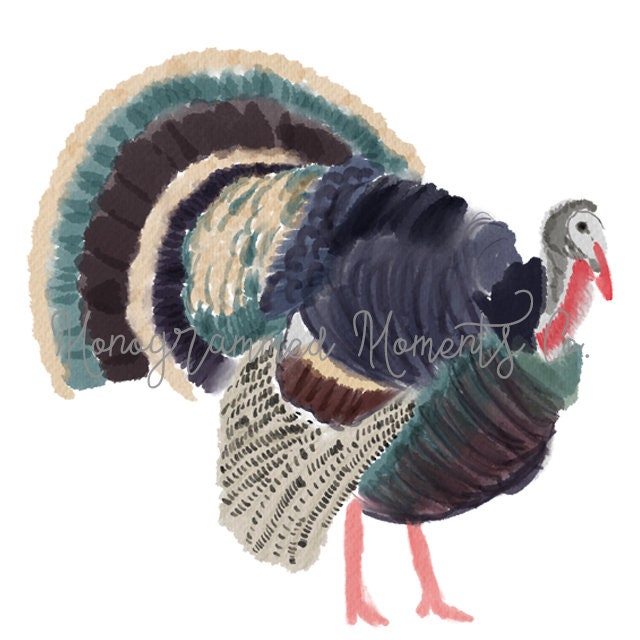 Watercolor Turkey - Etsy