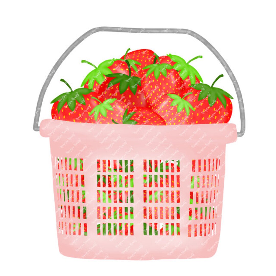 Watercolor Strawberry Picking PNG Watercolor Strawberry Clipart for ...