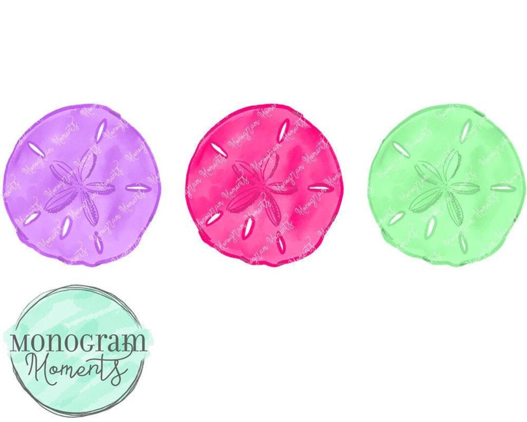 Watercolor Beach PNG - Watercolor Sand Dollar Clipart for Digital ...
