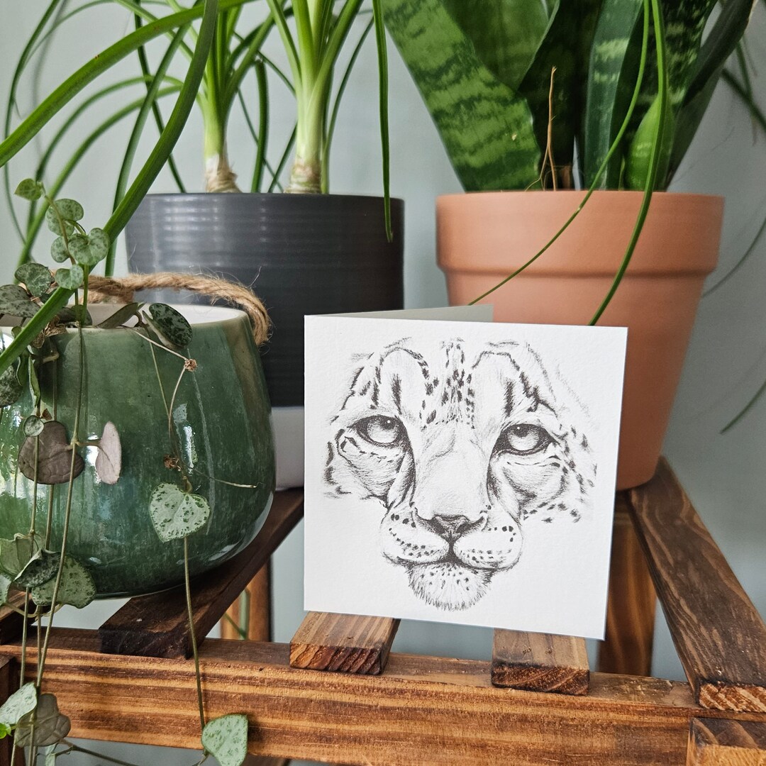 Snow Leopard Head Greetings Card Hand Drawn Animal Sketch ...