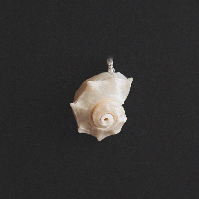 Shell Charms - Etsy