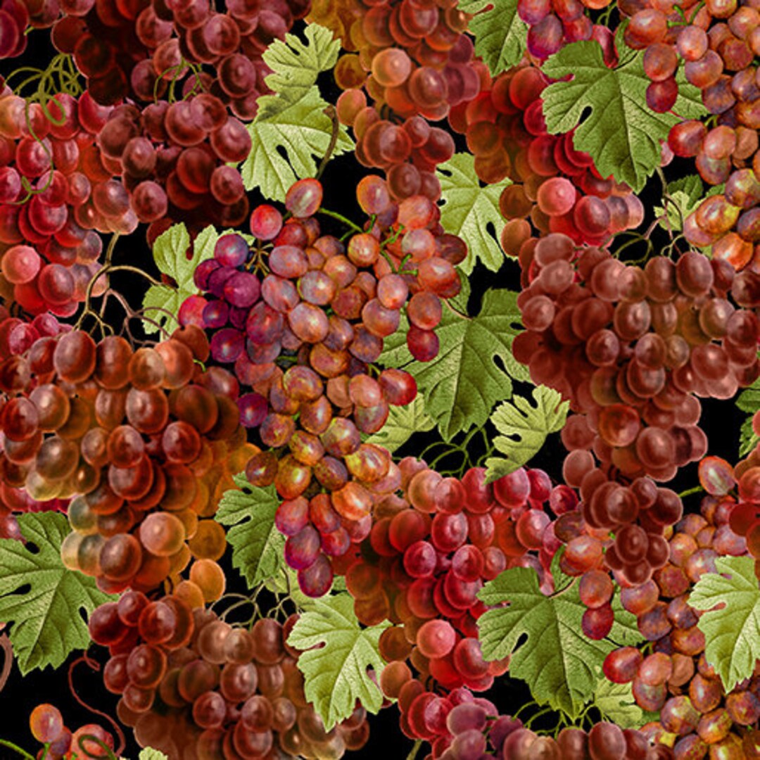 Cheers to You 9790-10 Vineyard Red by Kanvas Studio. Sold by the Half ...